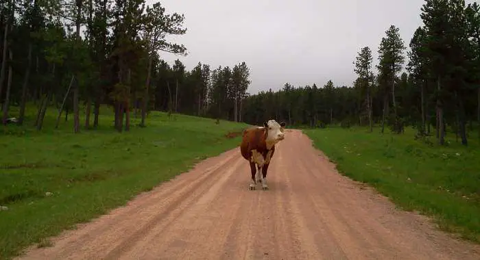 Sweet Rides & Races: The Done List - Gravel Cyclist: The Gravel Cycling ...