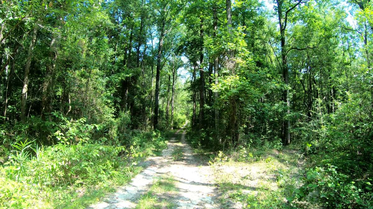 Tuskegee, Alabama: Home of the Tuskegee Airmen - And the nearby Mixed ...
