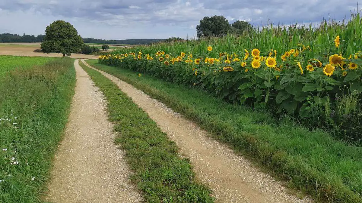 Orbit360 Gravel Series: Germany 2021 - Part Two by Timo Rokitta ...